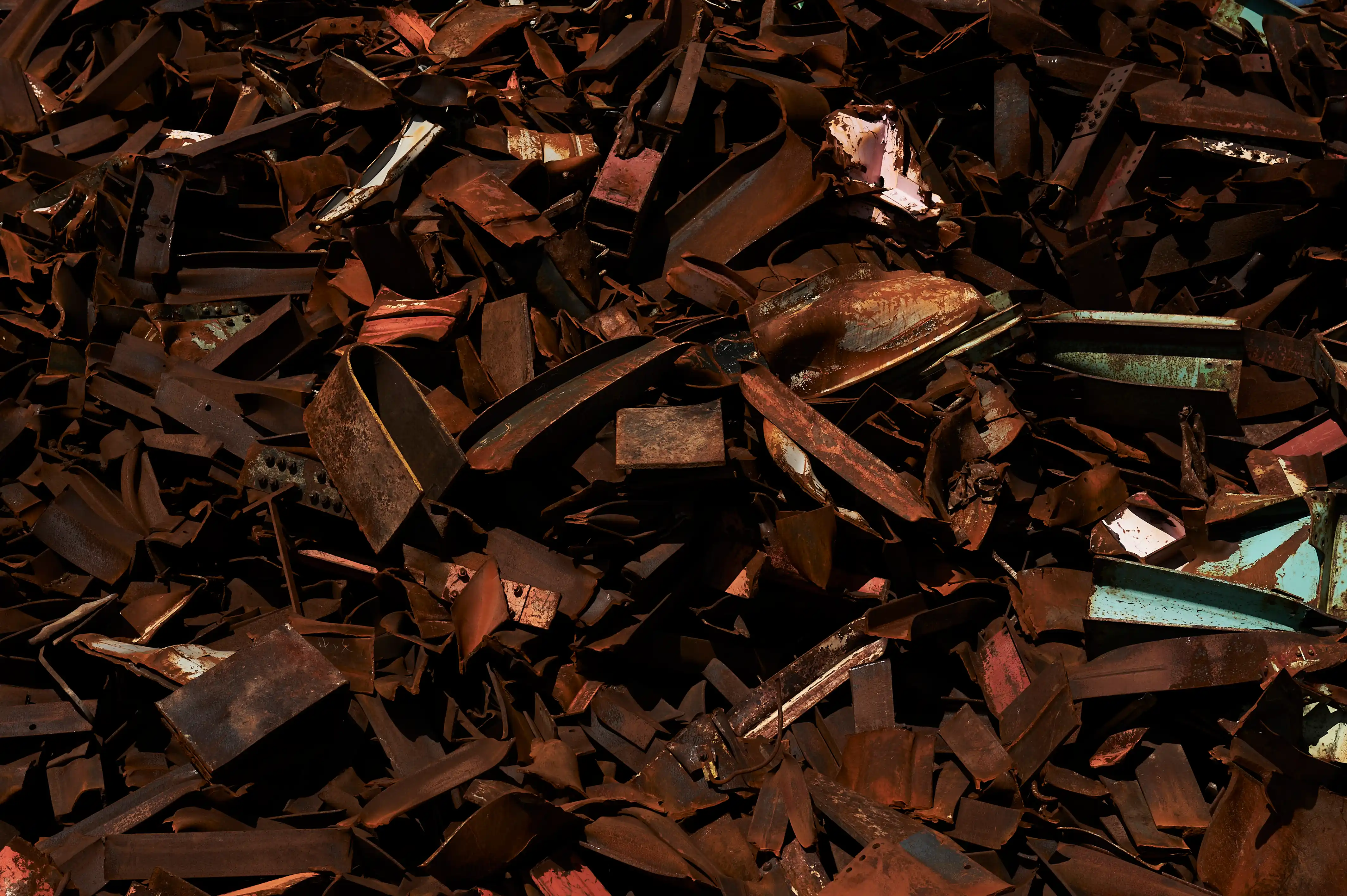 弊社について | Zeveroのチーム紹介